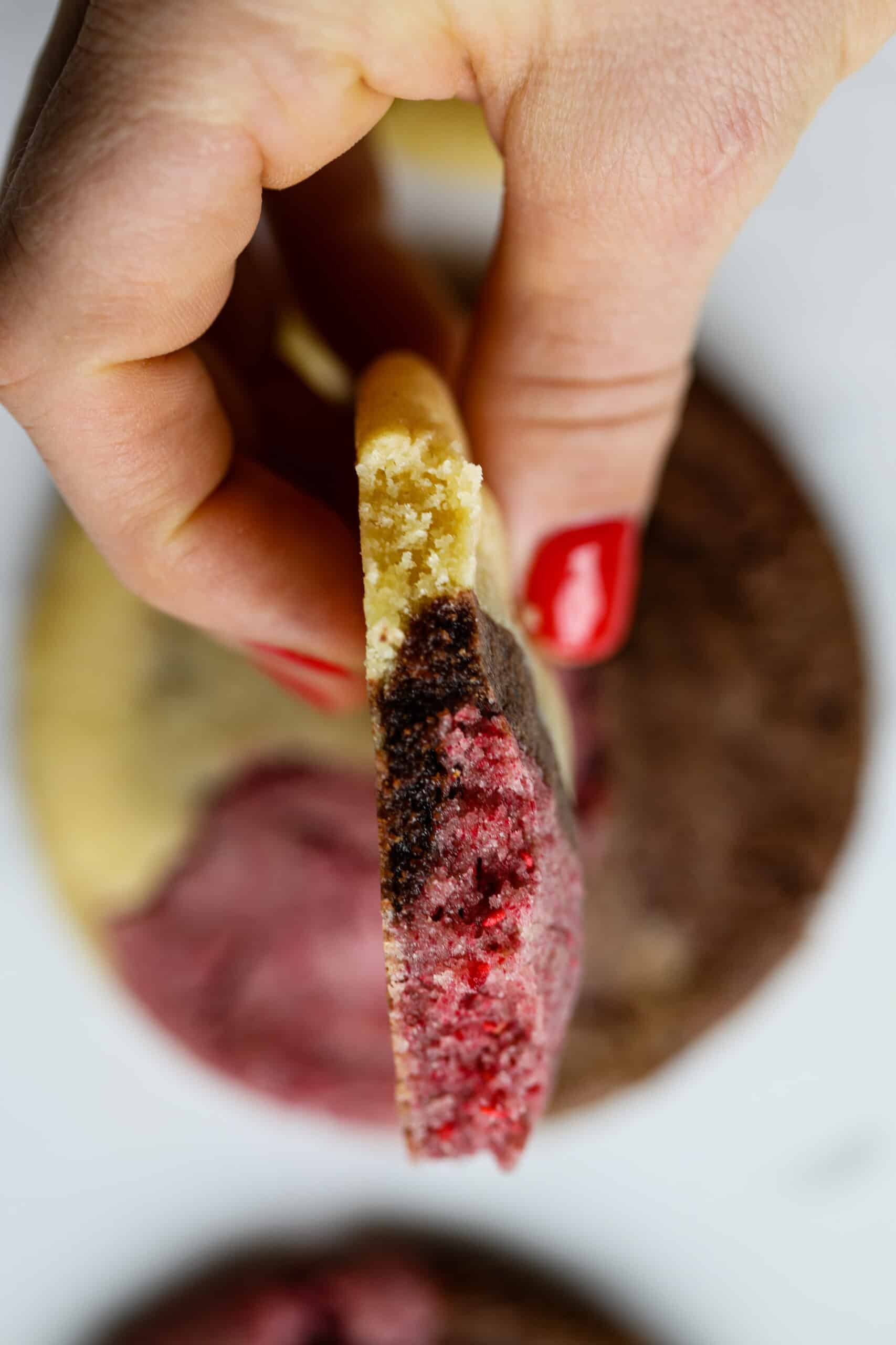 Neapolitan Sugar Cookies - Kate-Cooks